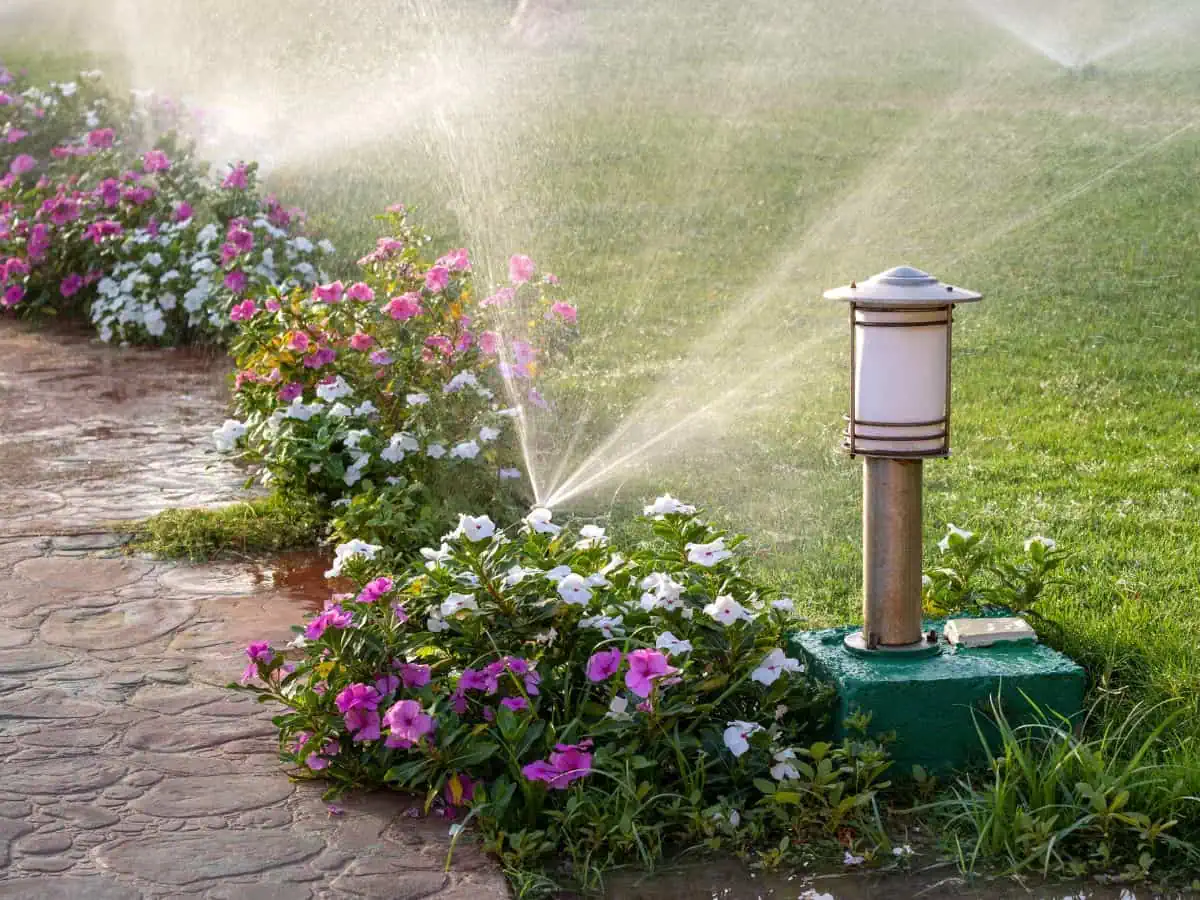 Simple Ways to Lower Your Water Bill in the Summer