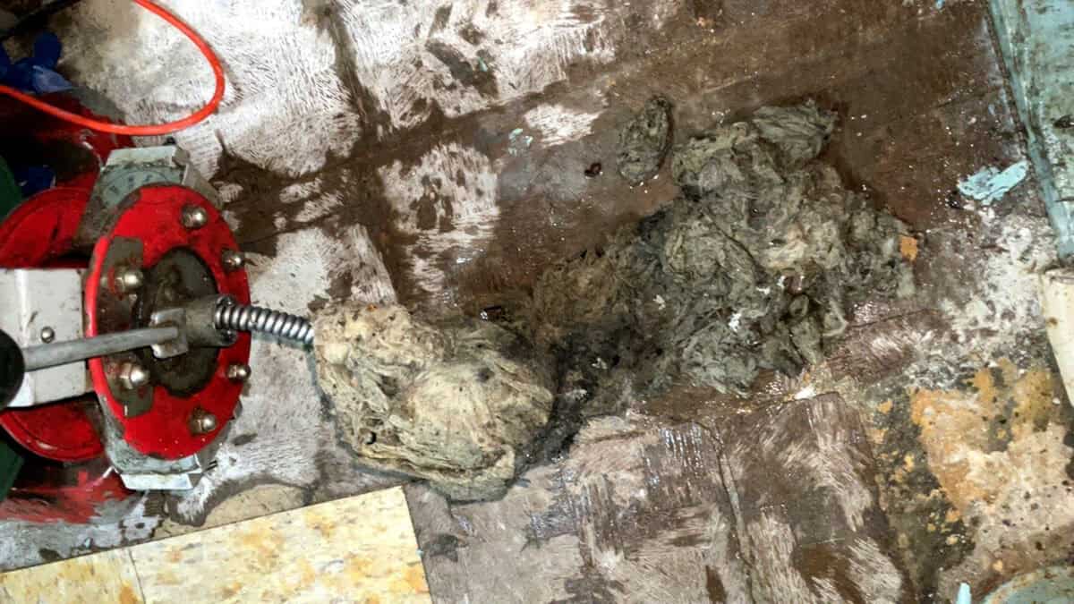 Are Flushable Wipes Really Flushable? $440M in Damage = NO